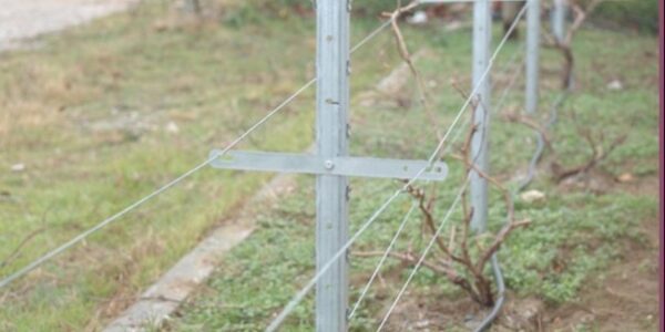 Grape Vine Poles - ΜΩΛΙΩΤΗΣ Συρματουργία